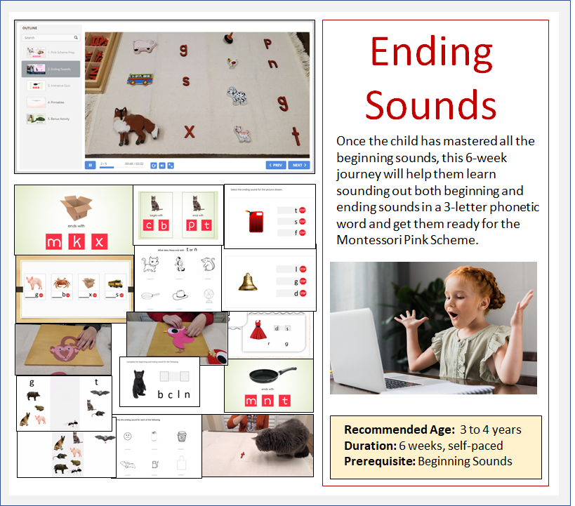 Montessori Phonics & Reading: Ending Sounds – Montessori Experience